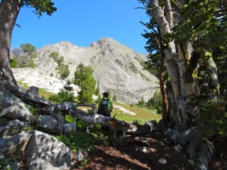 TR: Hiking Gallatin Peak, Madison Range, MT | A Mountain Journey